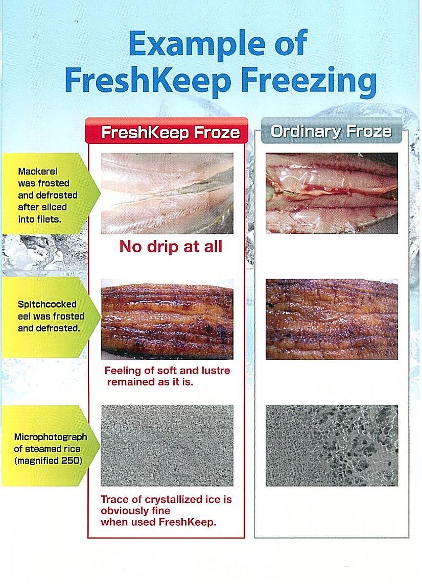 Joseph Lee & Co – FreshKeep FreK/Frish – Rapid Freezing System